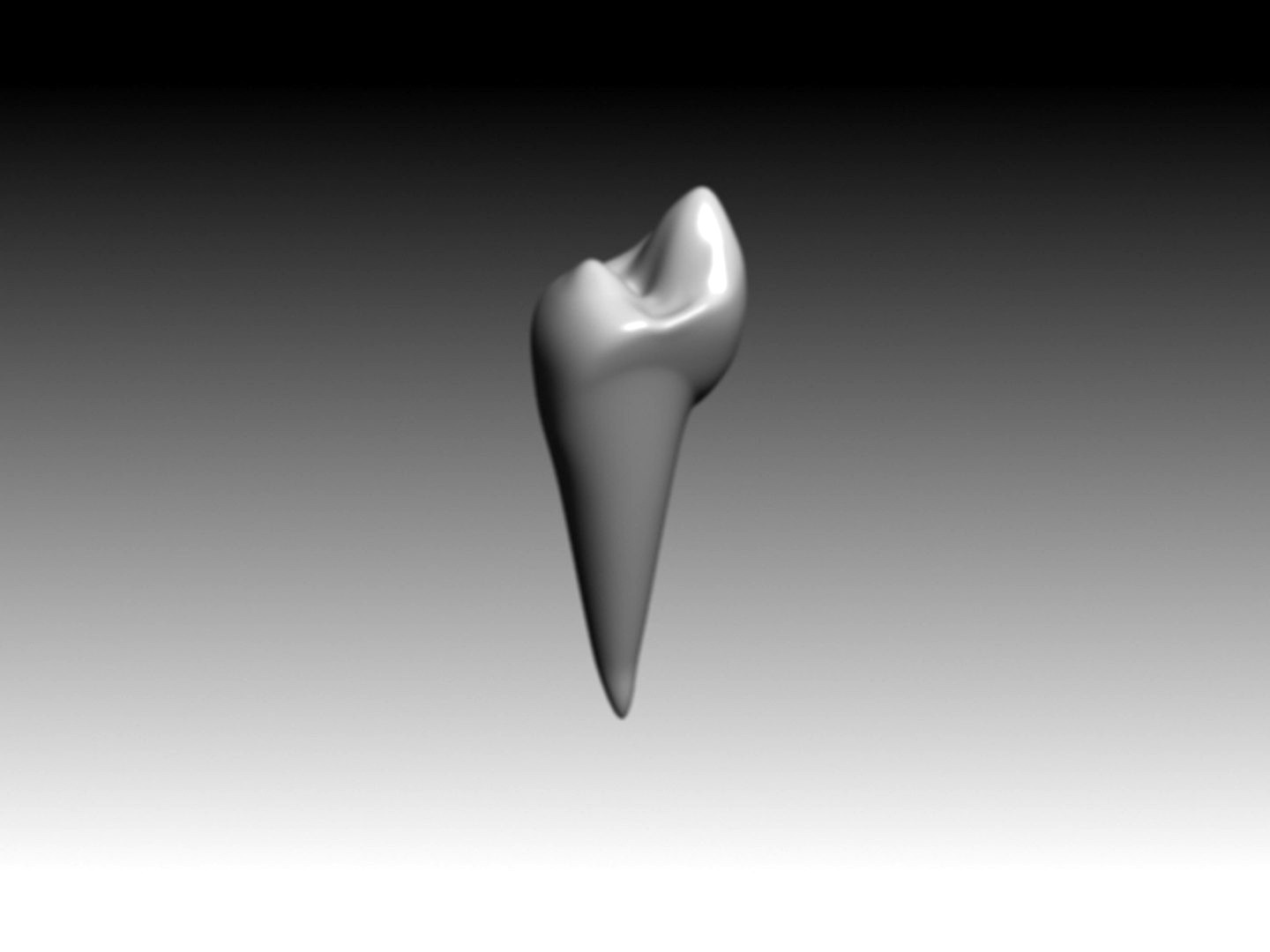 first premolar mandibular.3DS model