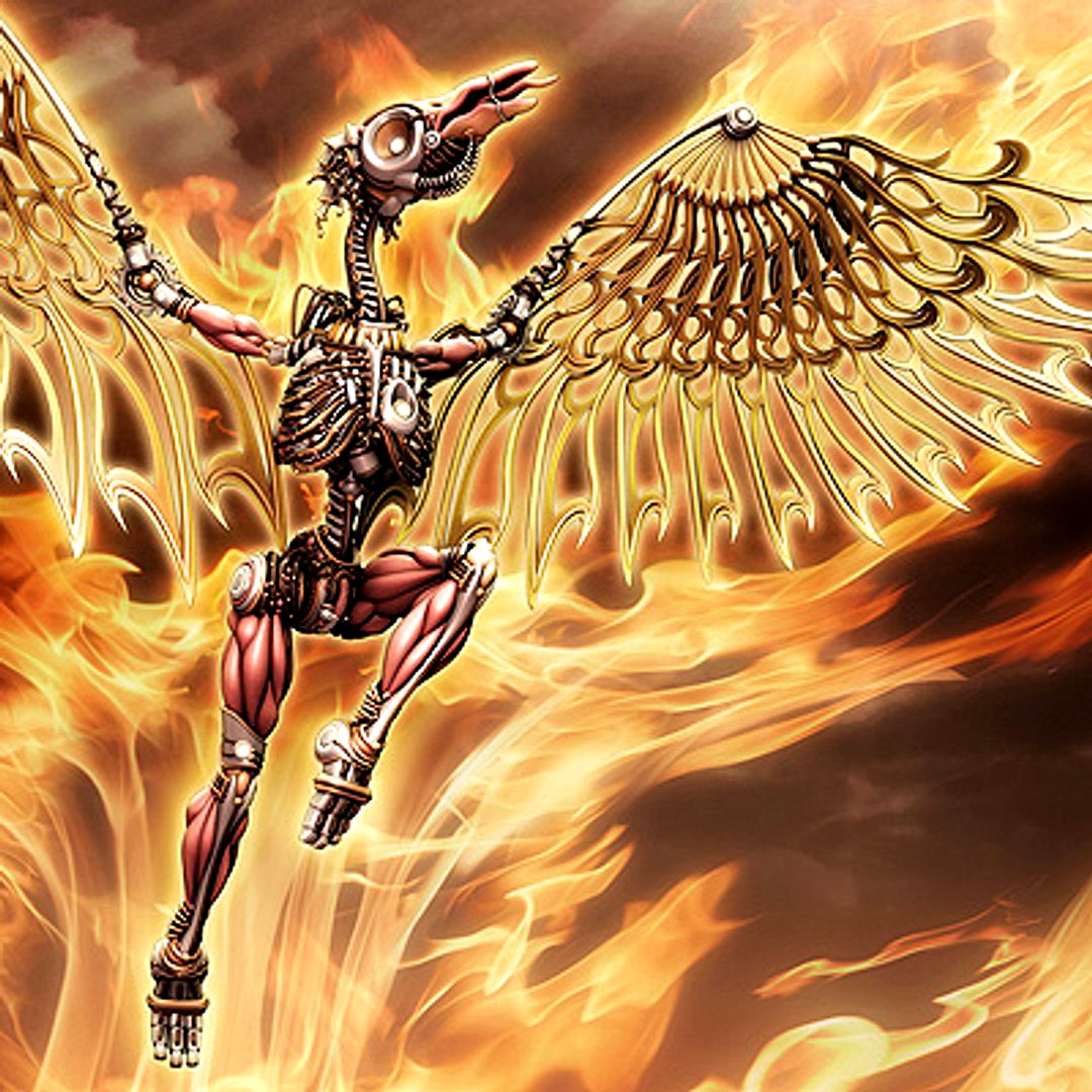 Phoenix - Evolution 3d model