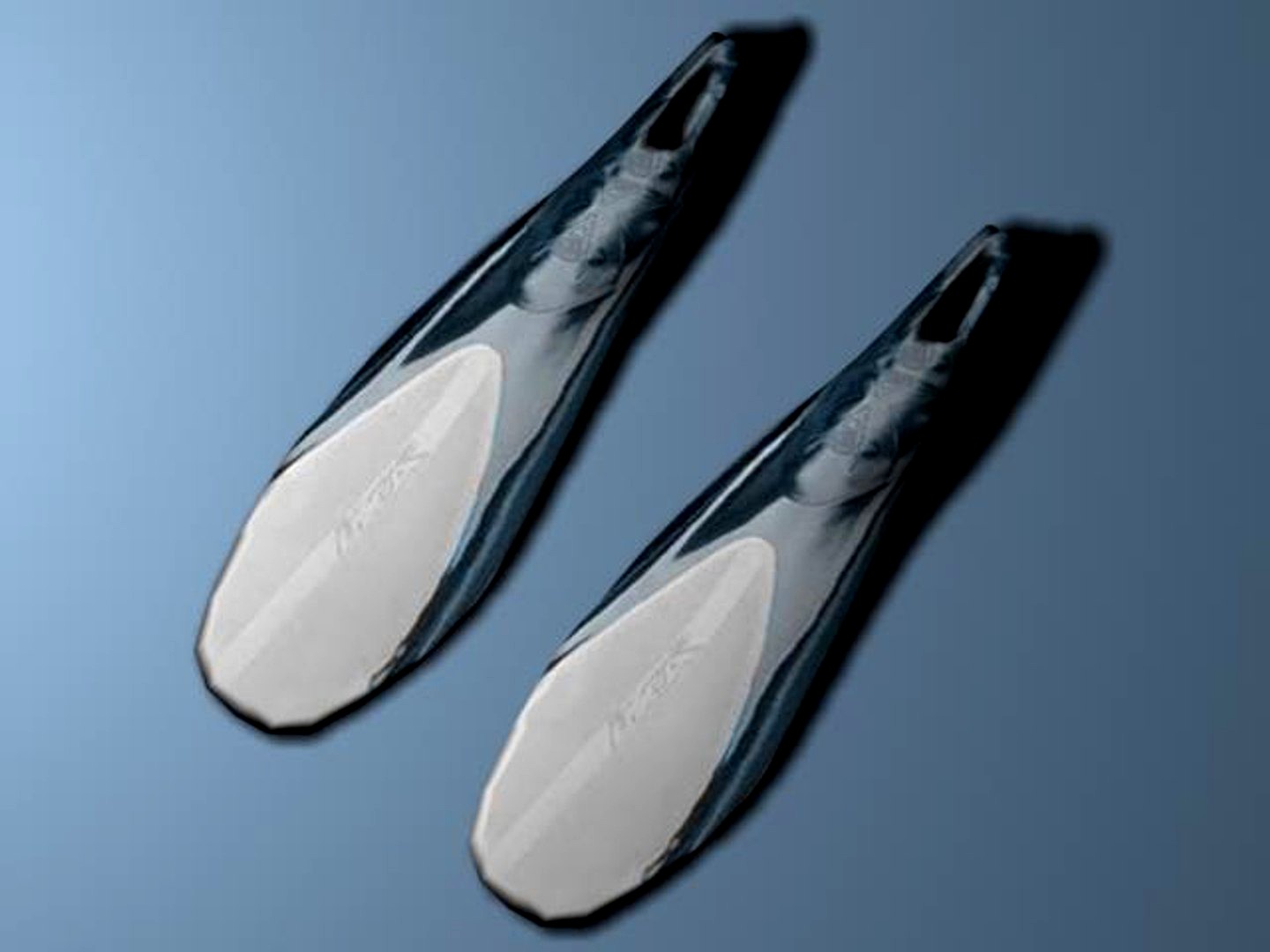 Flippers 3d model