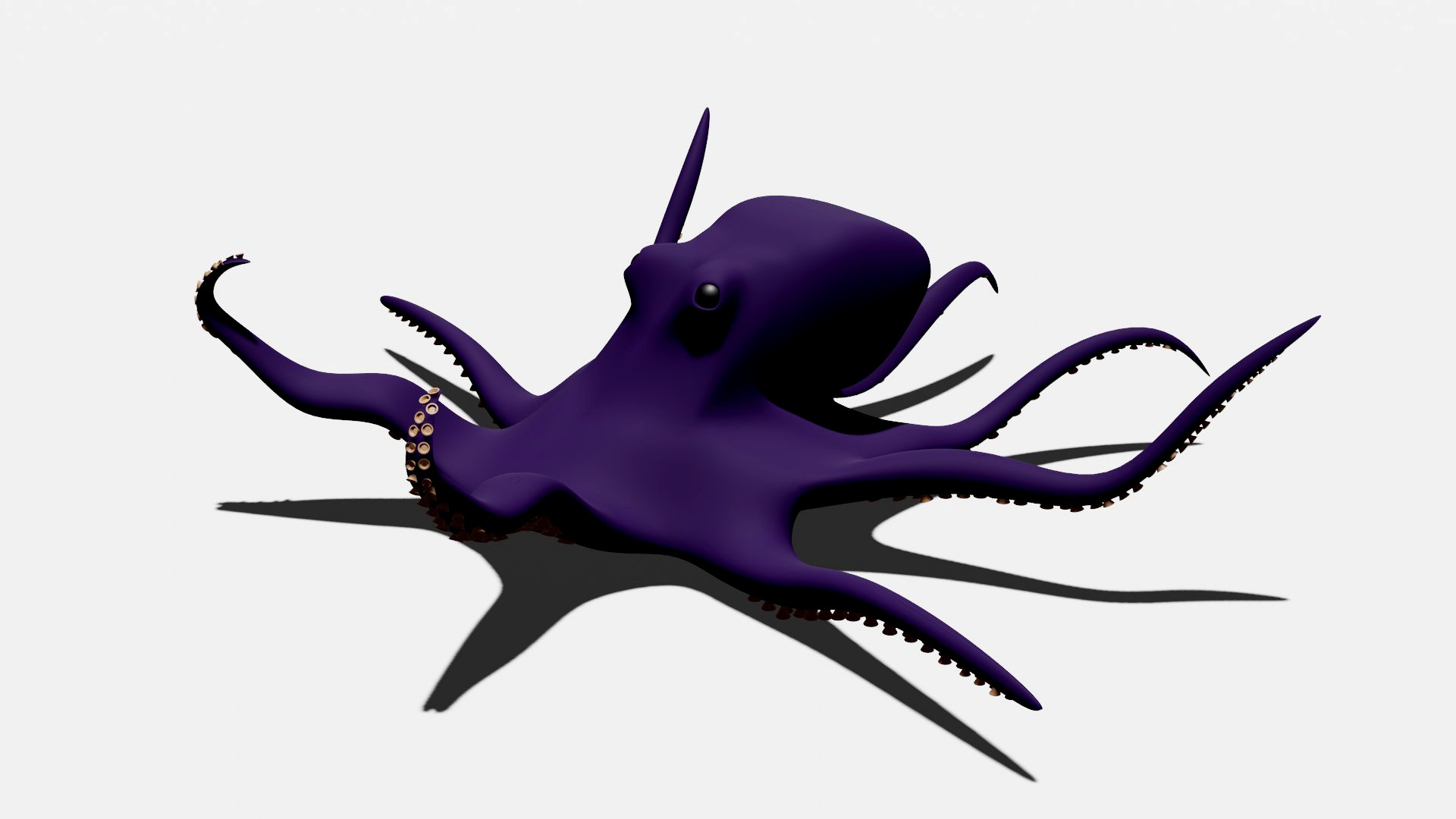 Octopus 3d model