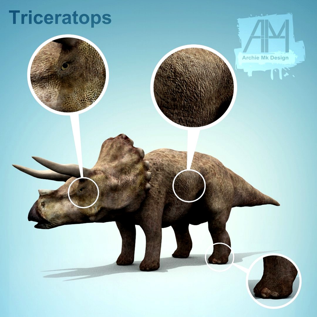 triceratops dinosaurs 3d model