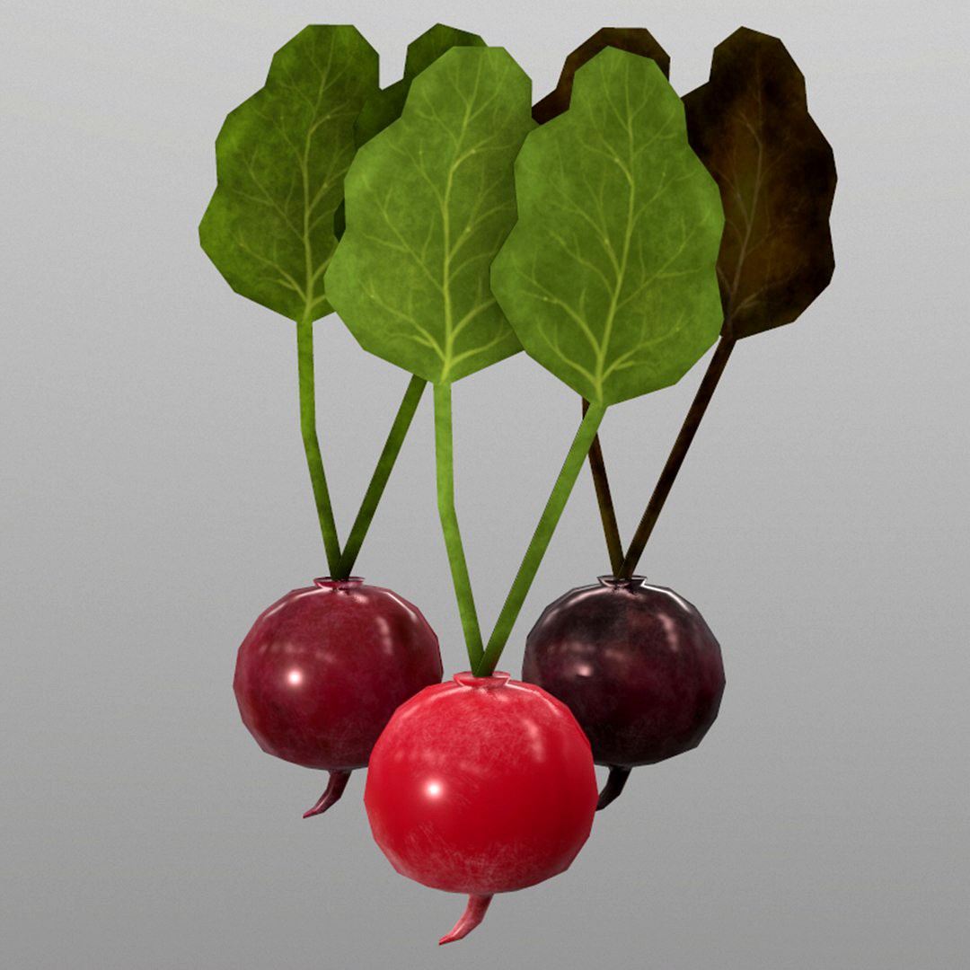 Radish 3d model