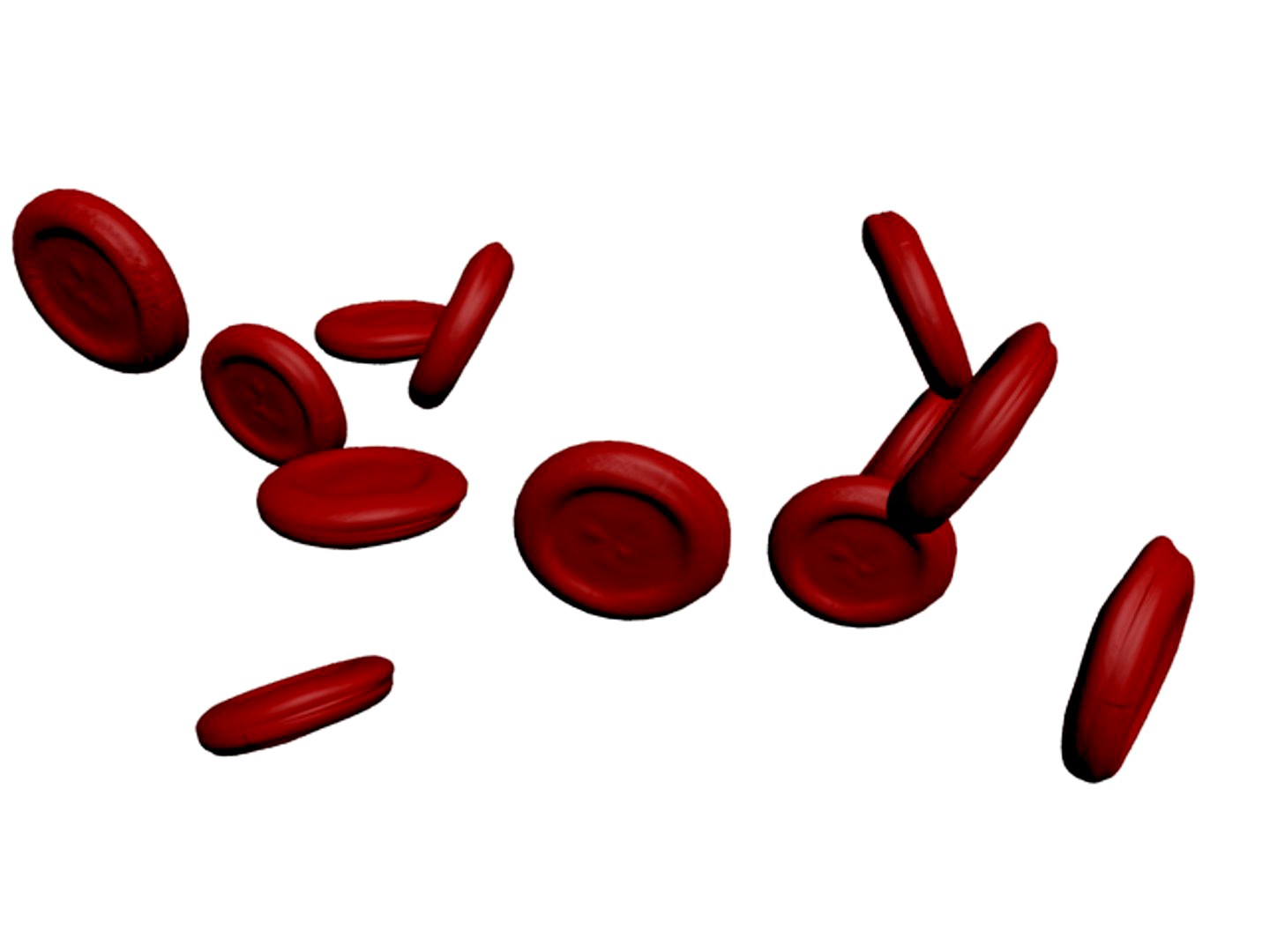 Red Blood Cell 3d model