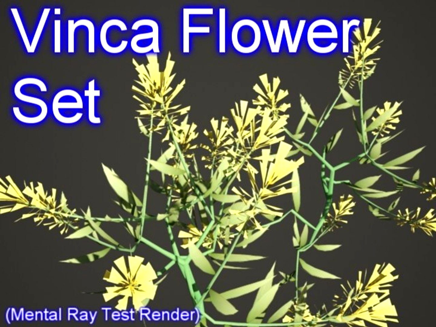 Vinca Flower Set 001 3d model