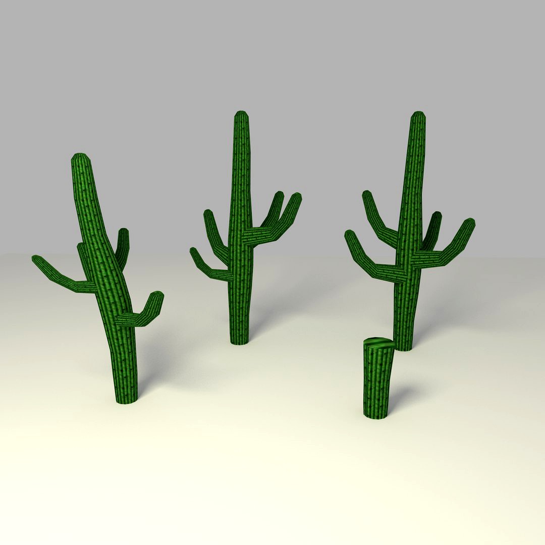 Cactus low-poly 3d model