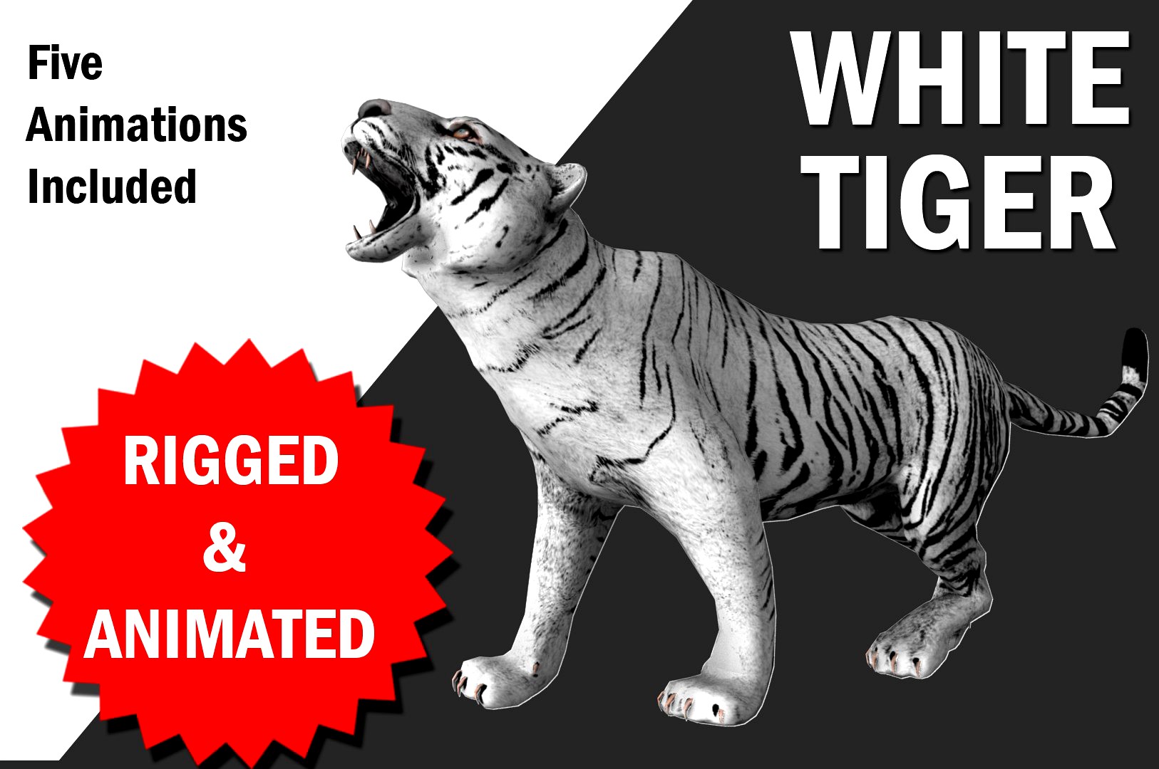White Tiger with animation 3d model