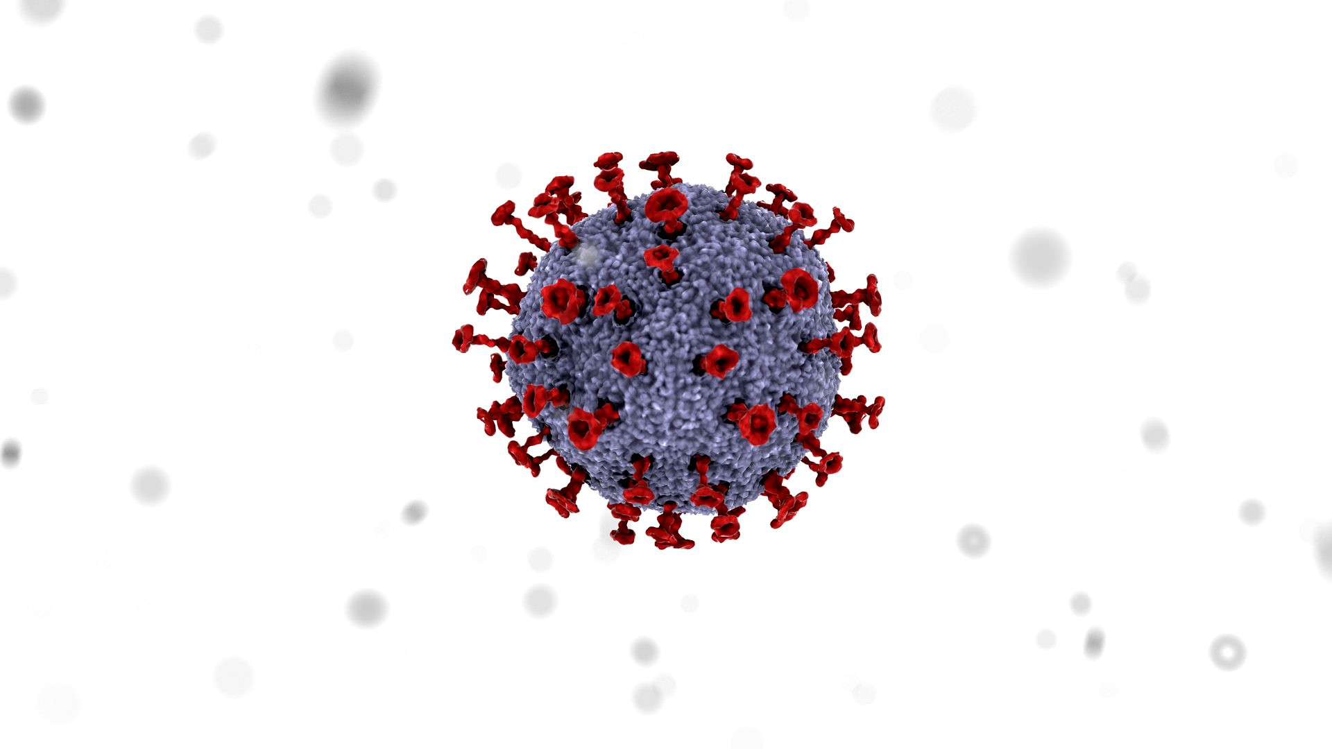 Corona Virus Animated 3d model