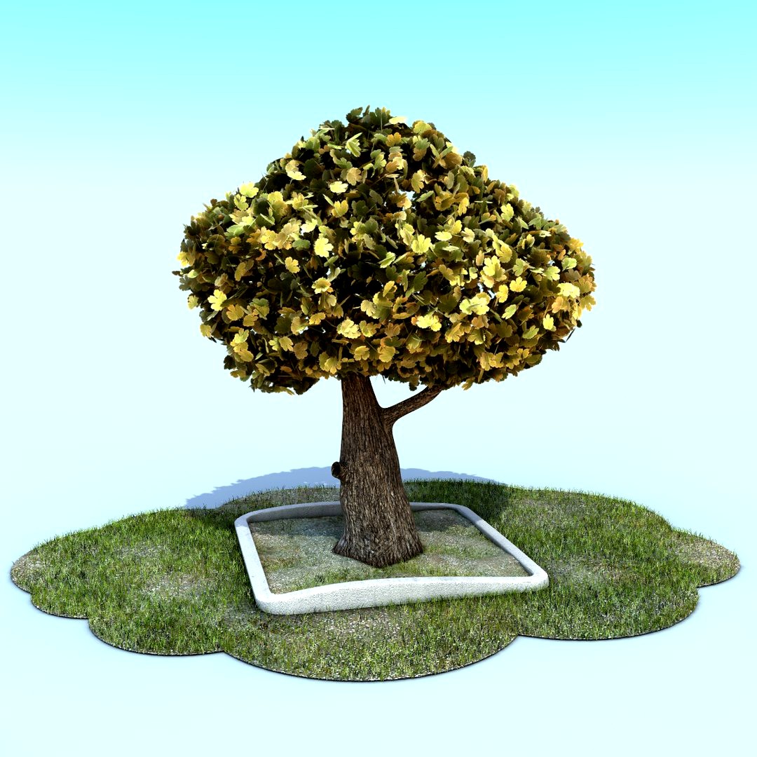 Cartoon Tree 3d model