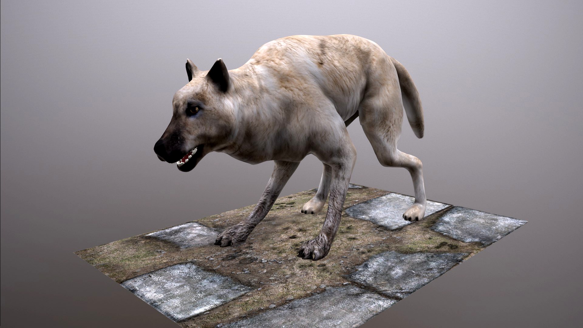Wolf- low poly game ready 3d model