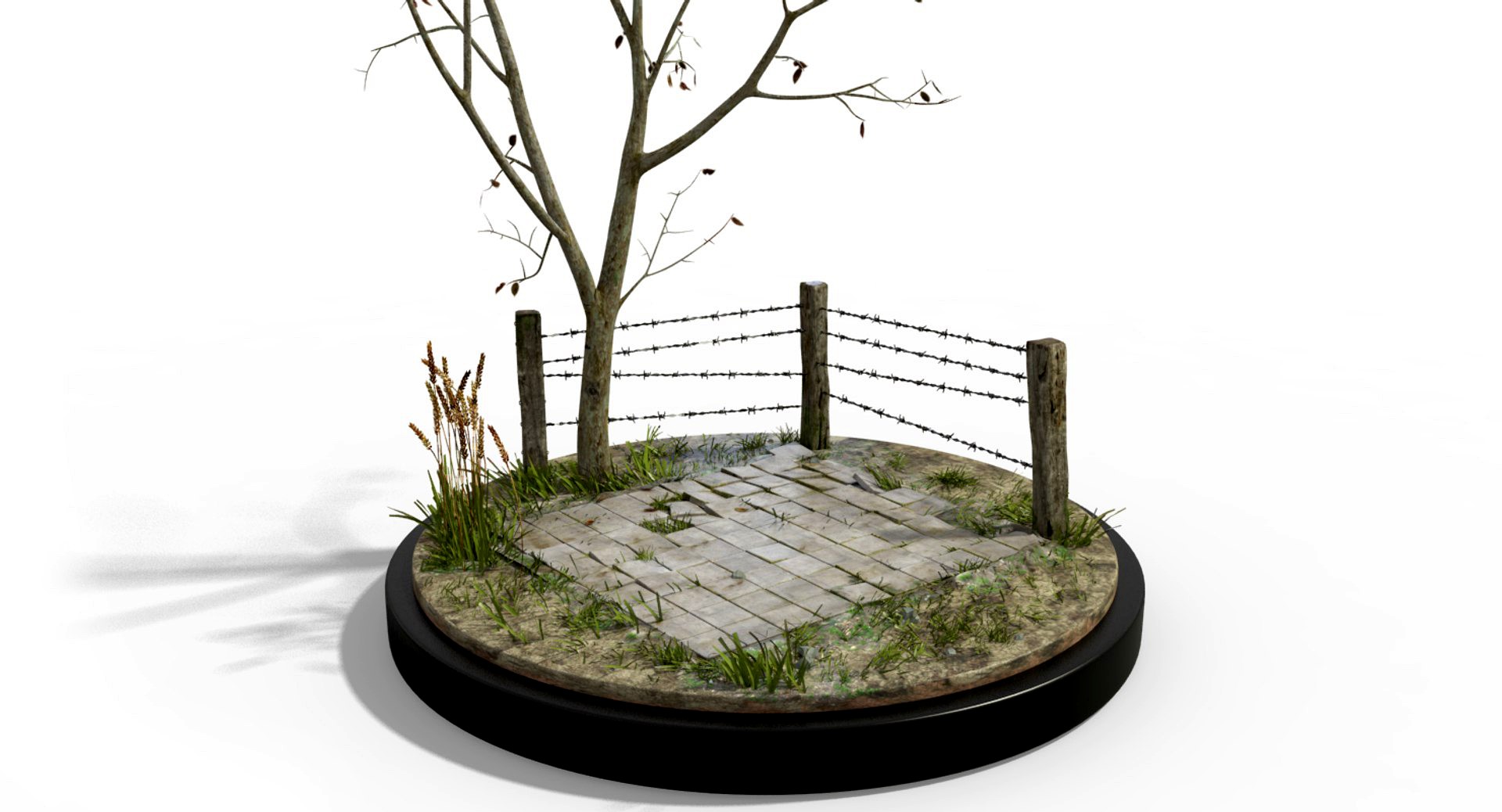 Outdoor Diorama Scene 3d model