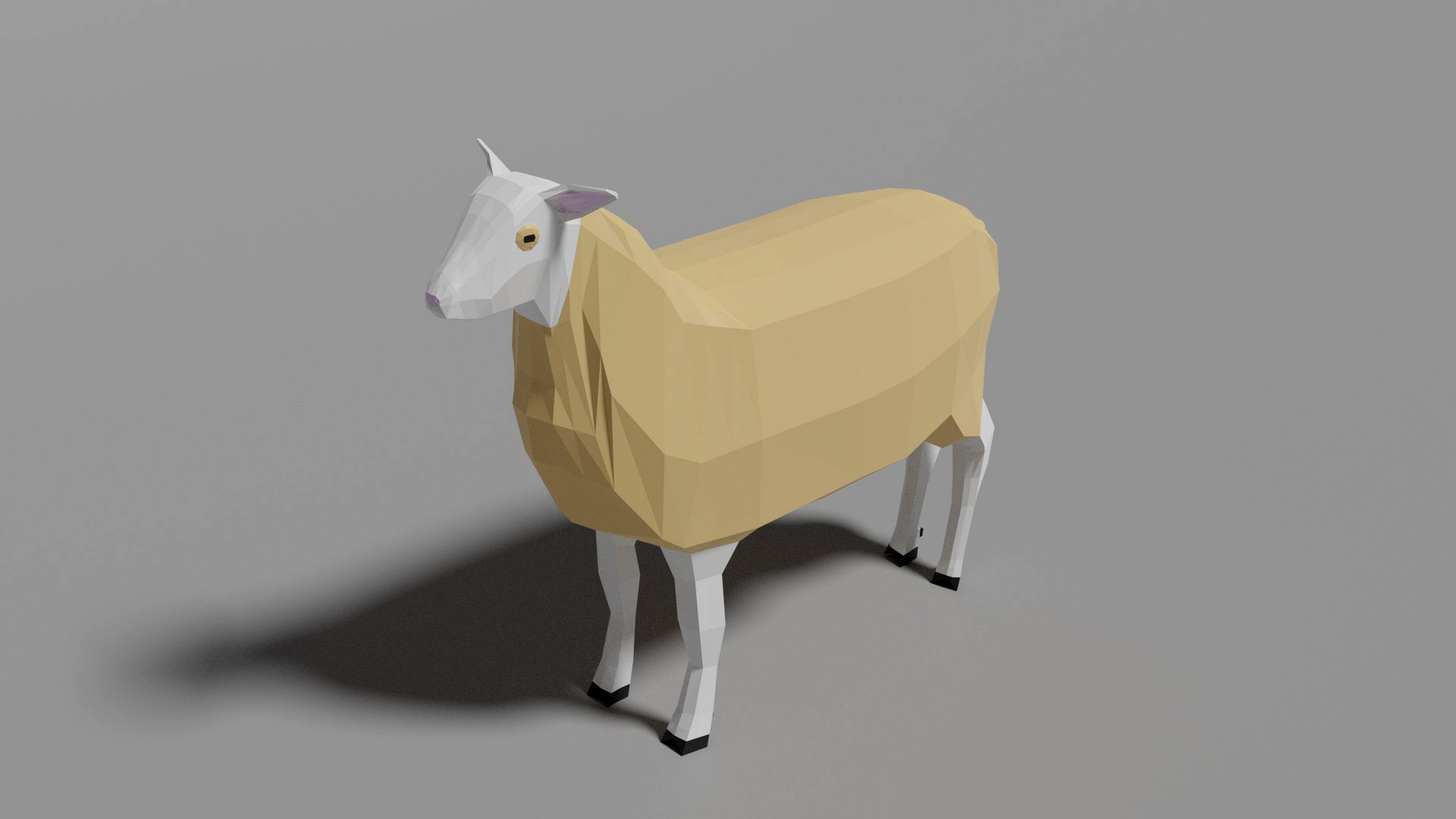 Cartoon Sheep 3d model