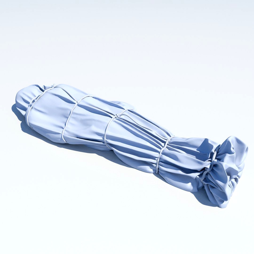 Corpse 3d model
