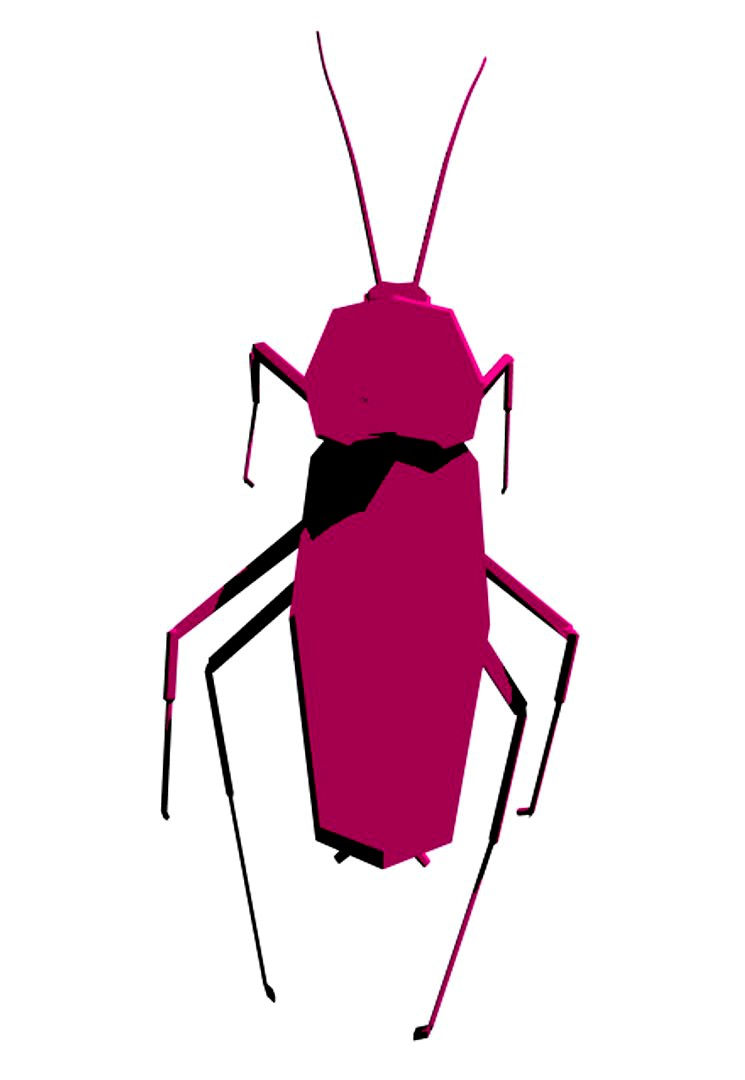 Cockroach - low poly, rigged 3d model