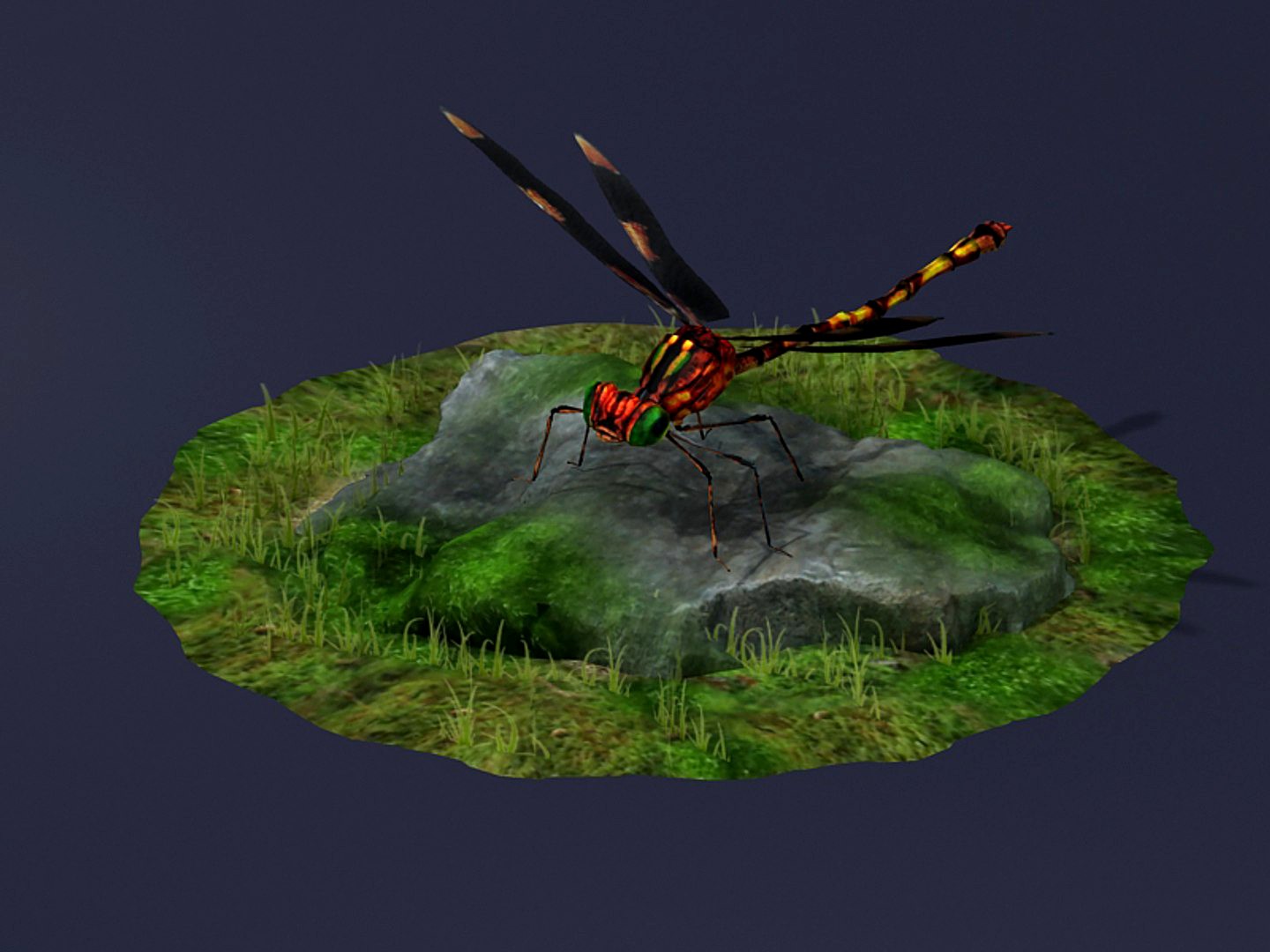 Dragonflies ants beneficial insects realistic arthropod insects 3d model