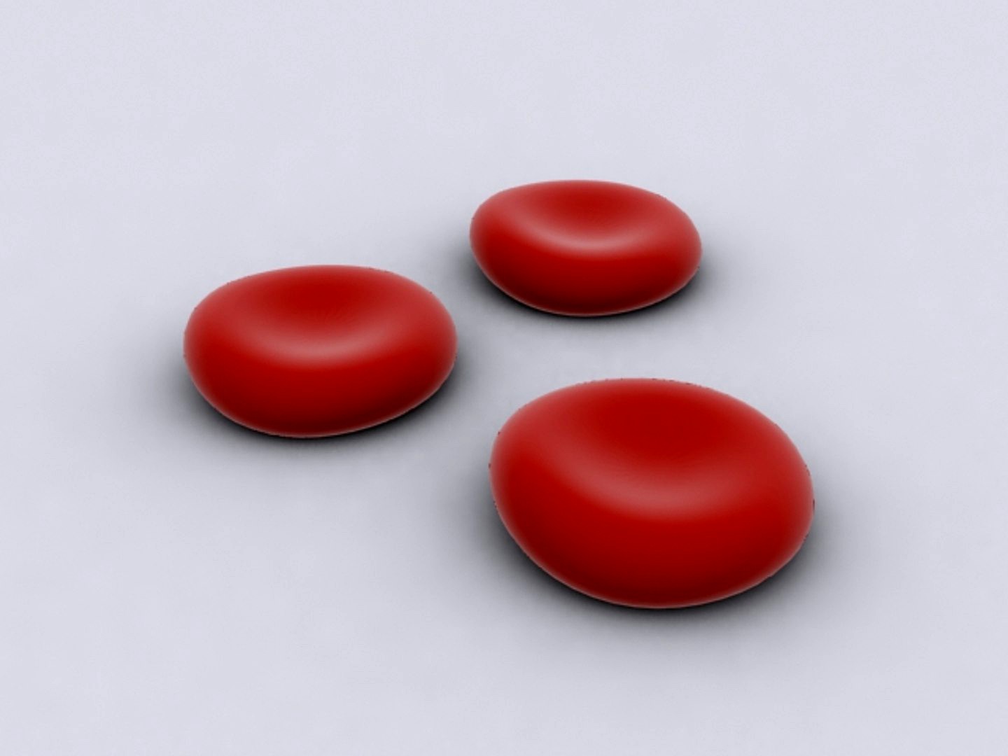 Red Blood Cells 3d model