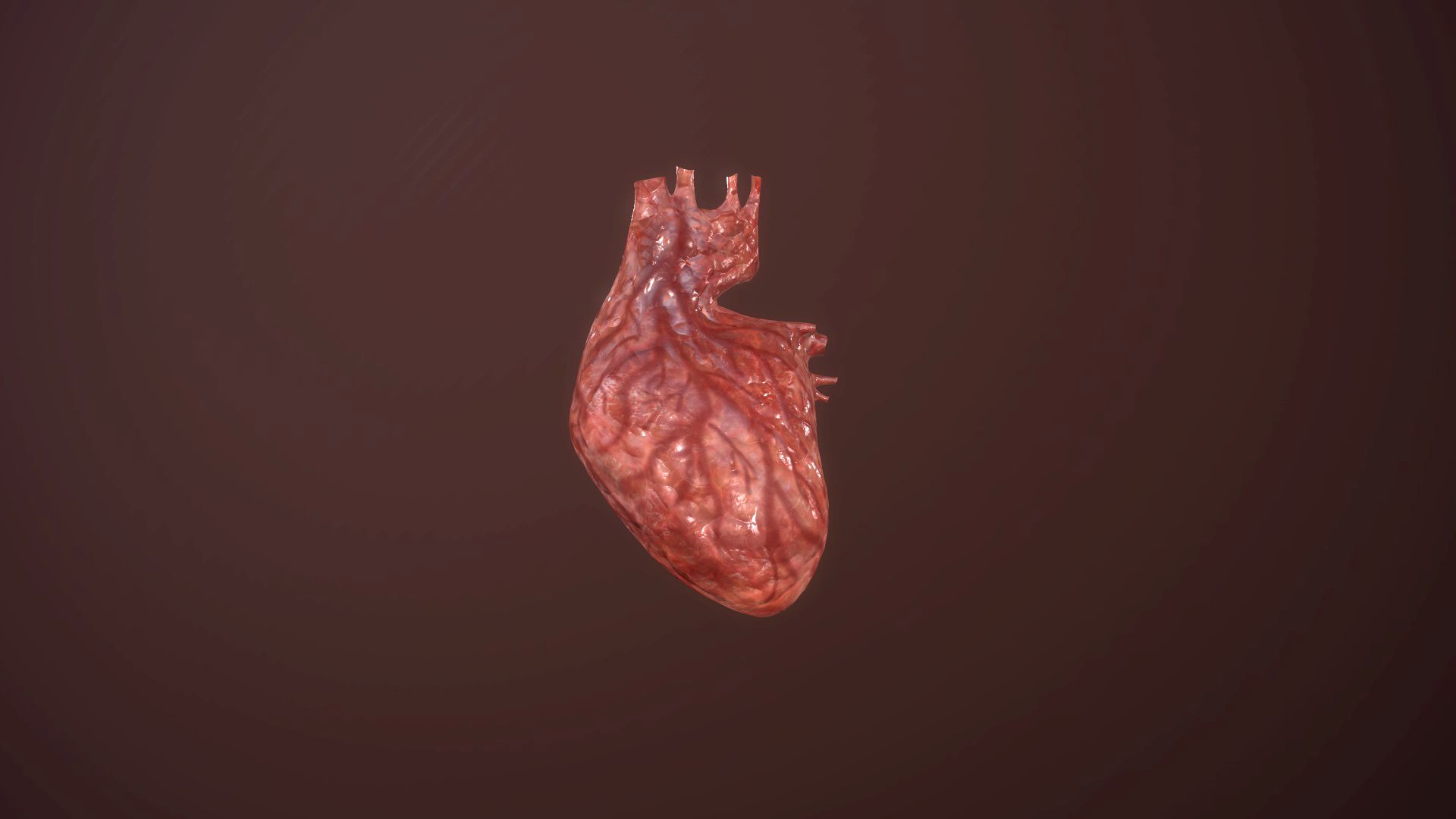 Heart animation heartbeat human organ Low-poly 3D model