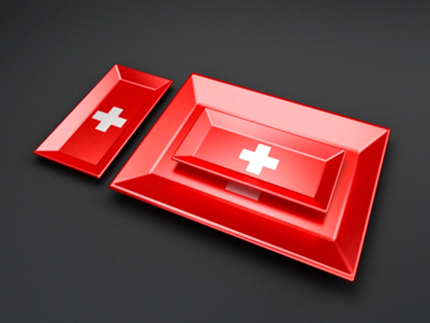 SWISS ELONGATED FOOD SERVING TRAYS 3d model
