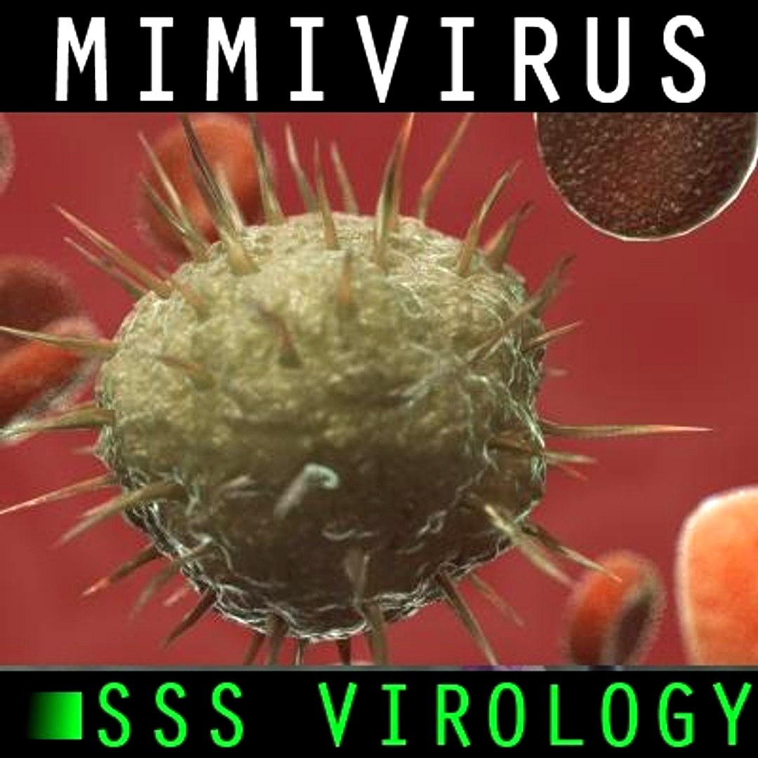 SSS Mimivirus HD 3d model