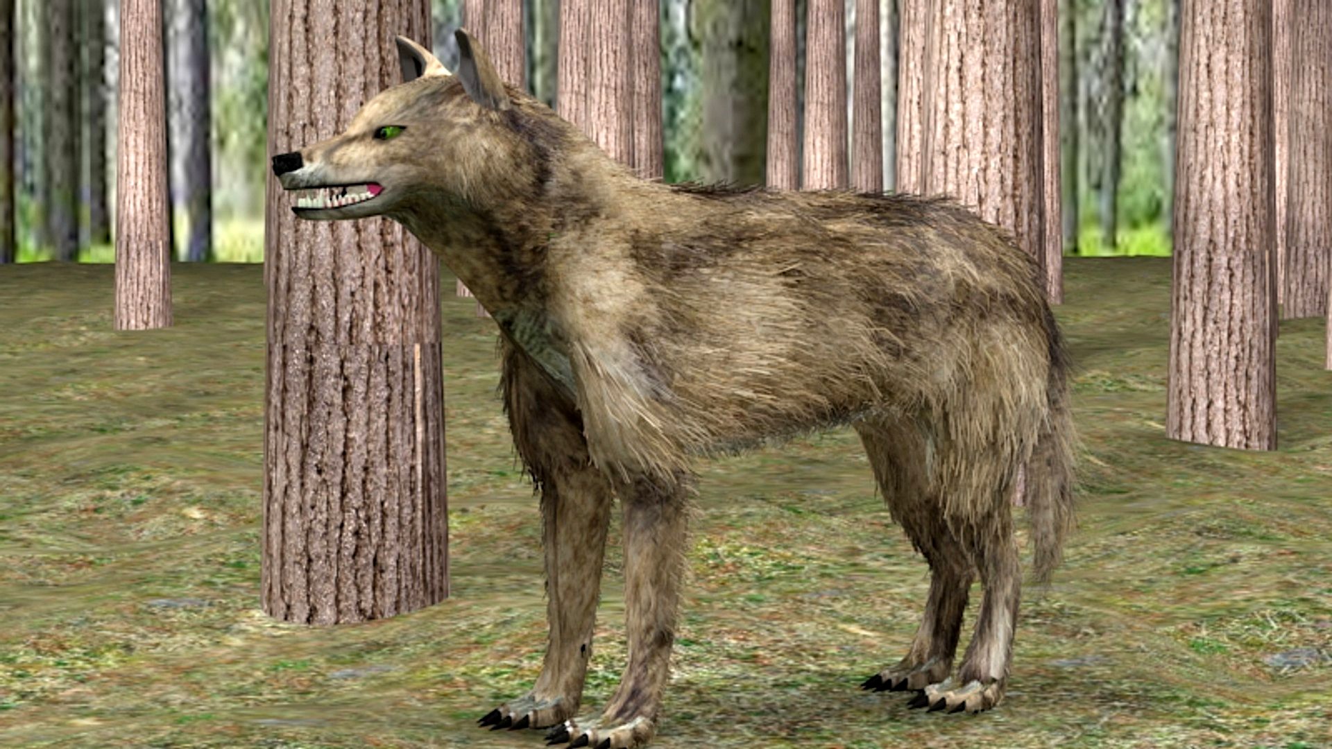 gray wolf 3d model