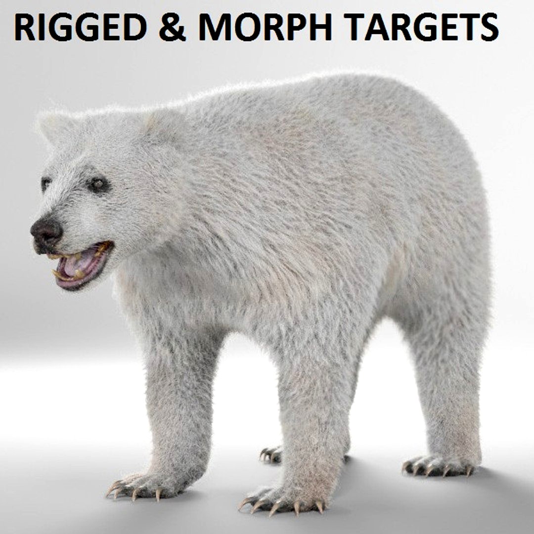 Polar bear - RIGGED and ANIMATED 3d model