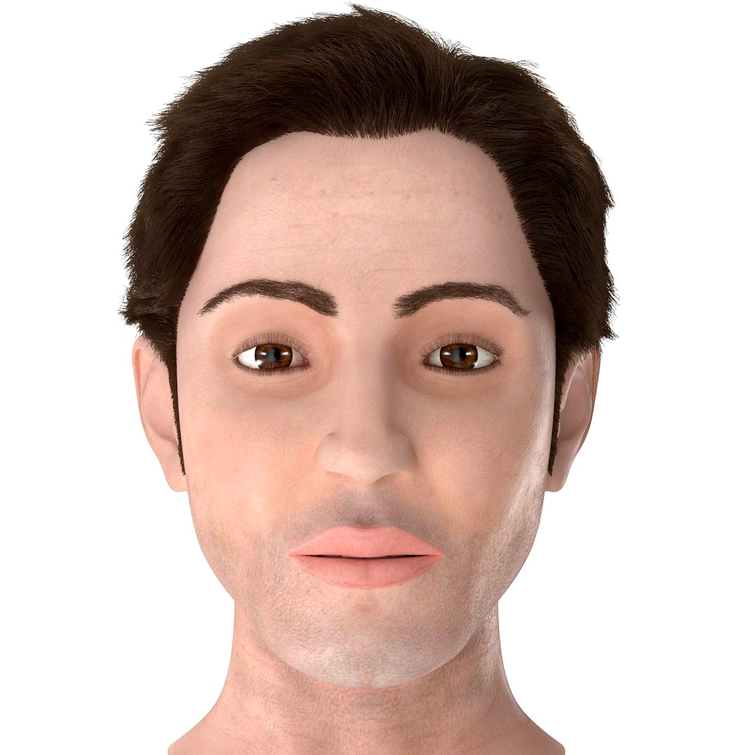 Realistic Male Head 3d model NoRig