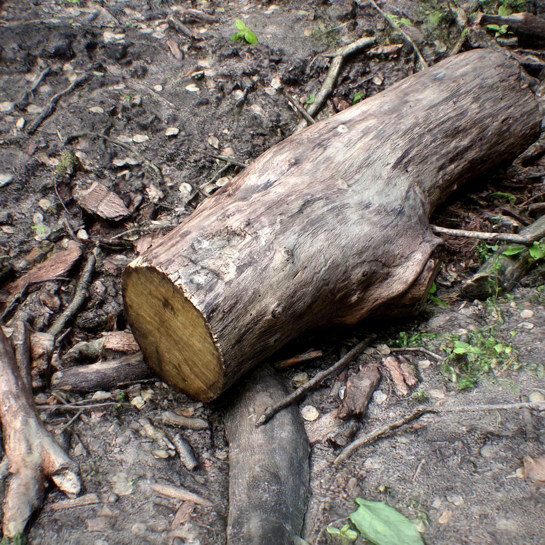 Wooden Log scan 3d model