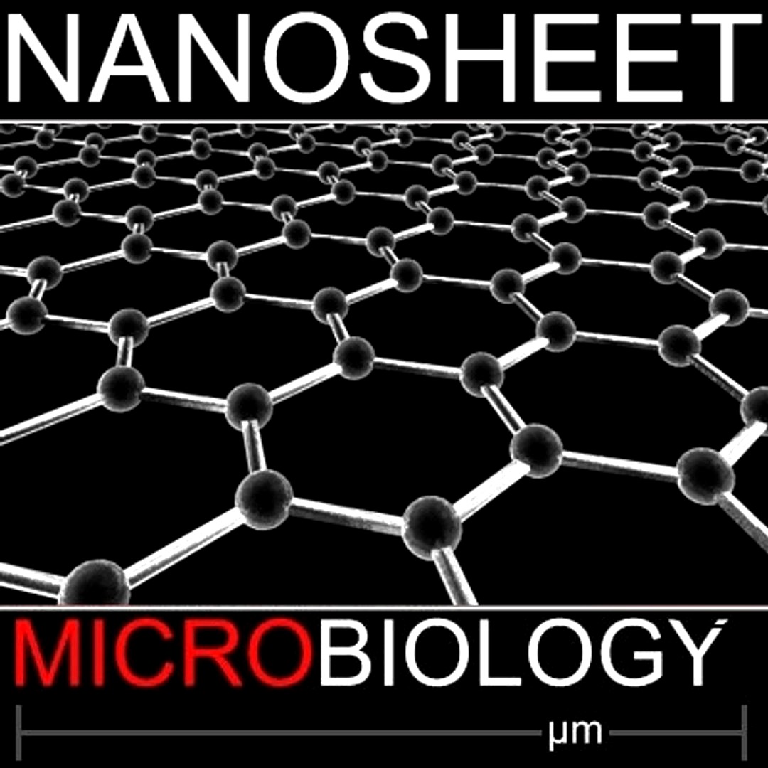 carbon nanosheet 3d model
