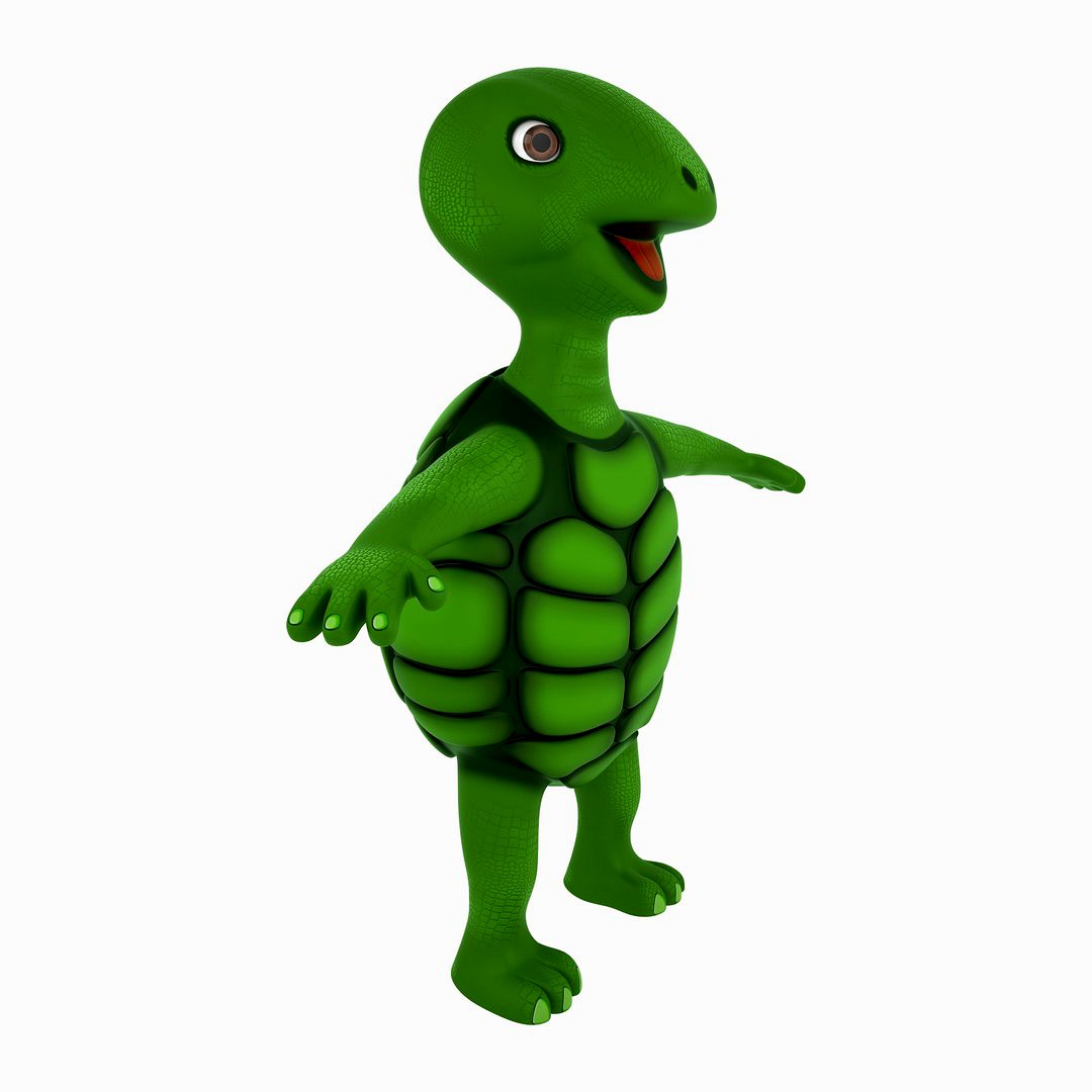 Cartoon Turtle 3d model