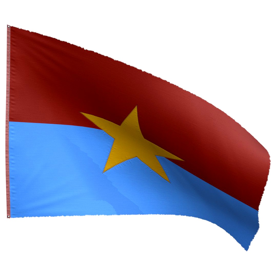 The flag of the Viet Cong 3d model