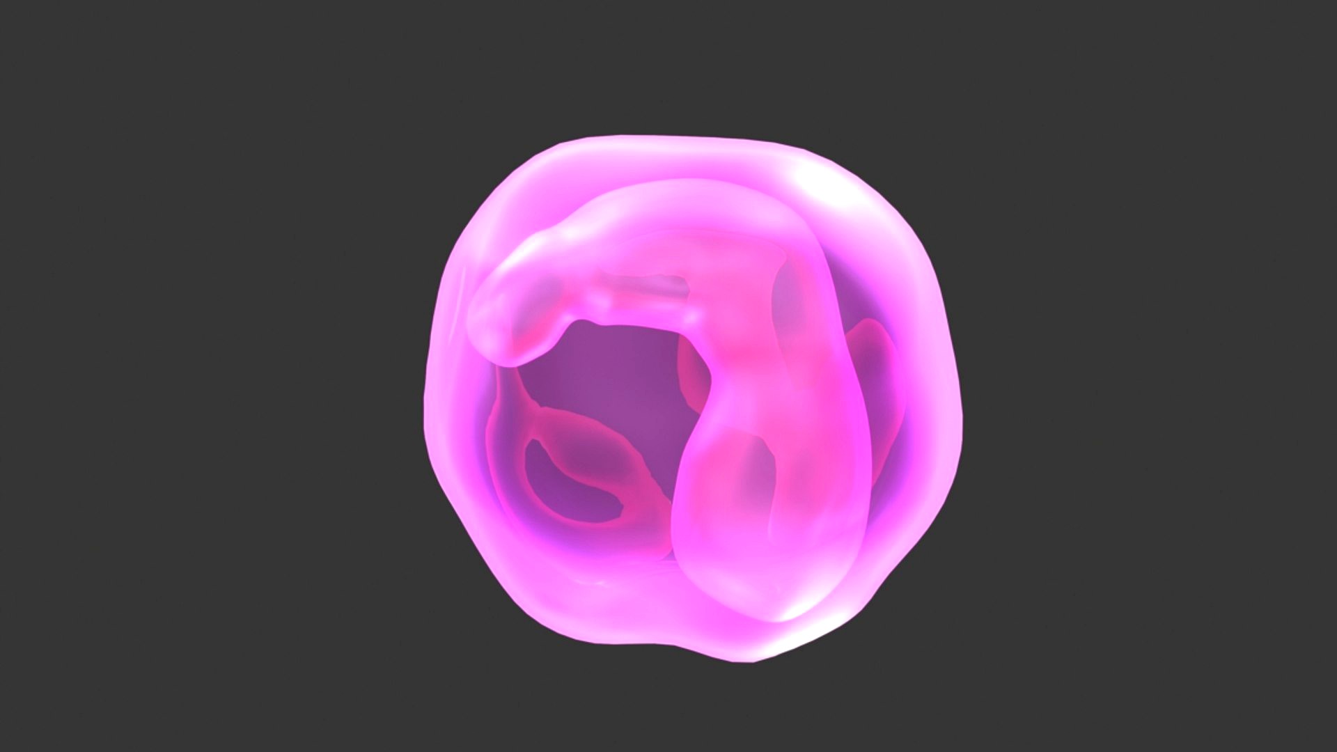 White Blood Cell 3d model