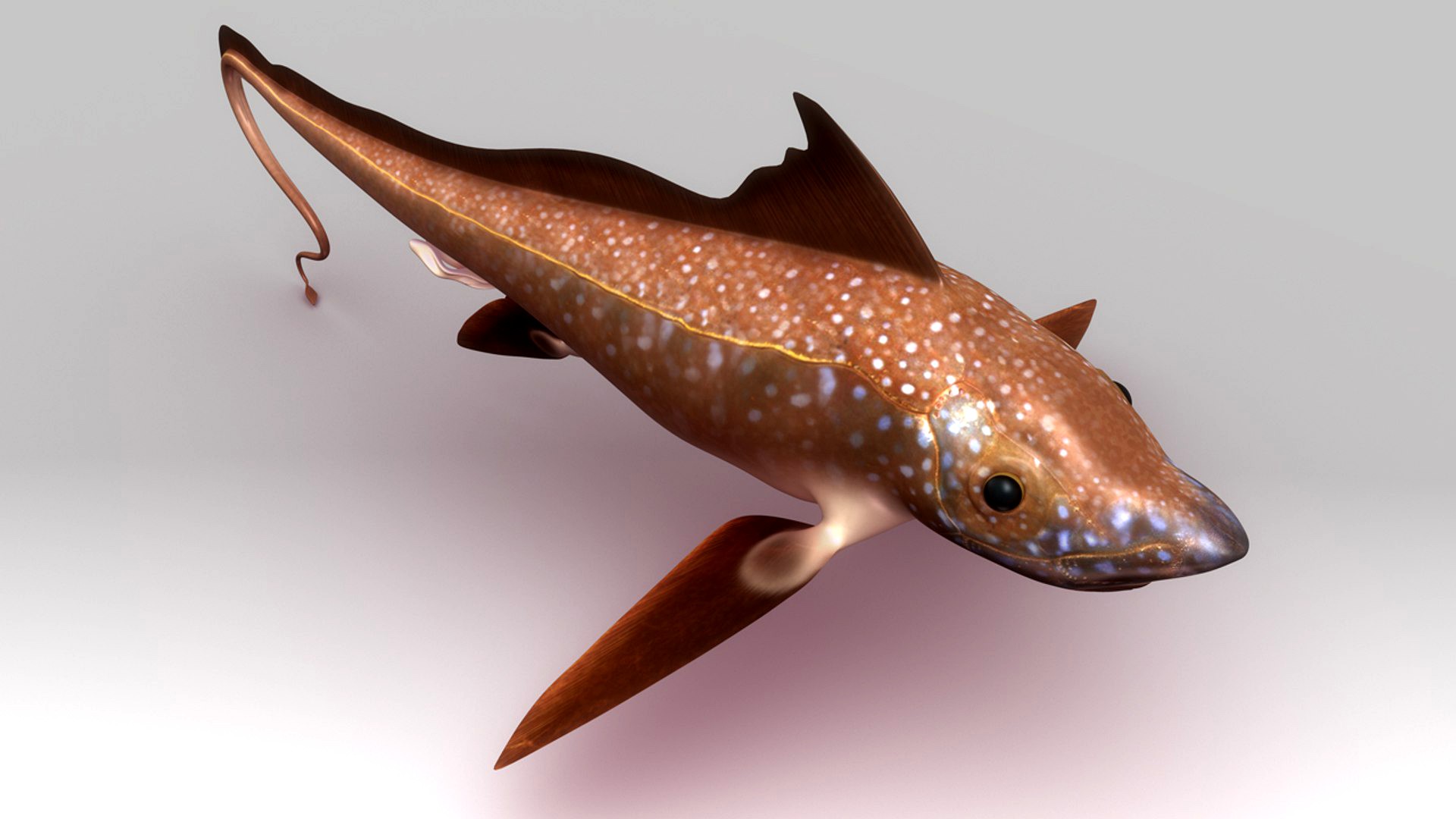 Chimaera Rigged 3d model