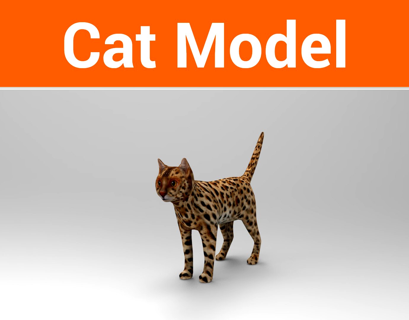 Cat game ready low poly model 3d