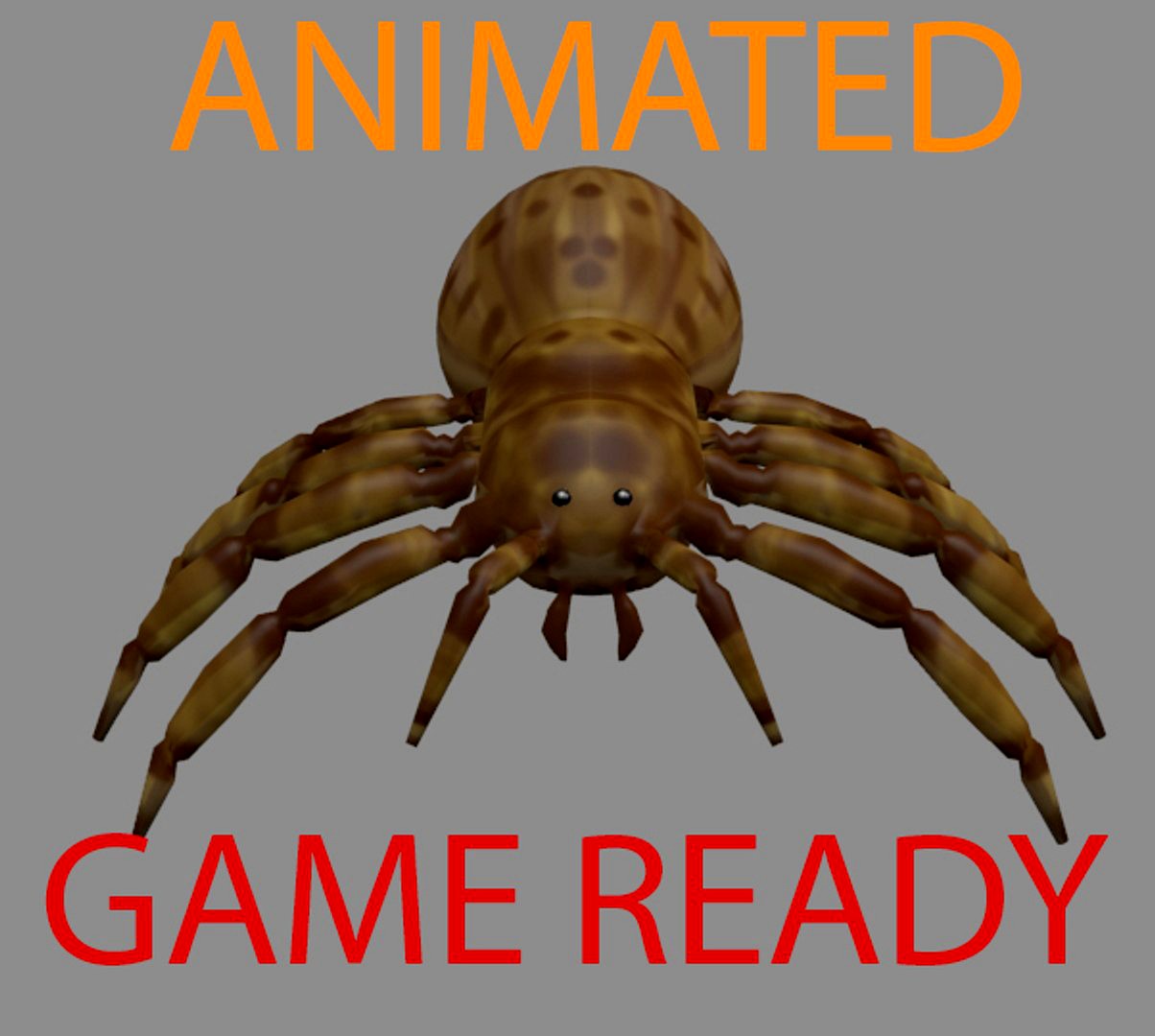 Spider Rigged And Animated 3d model