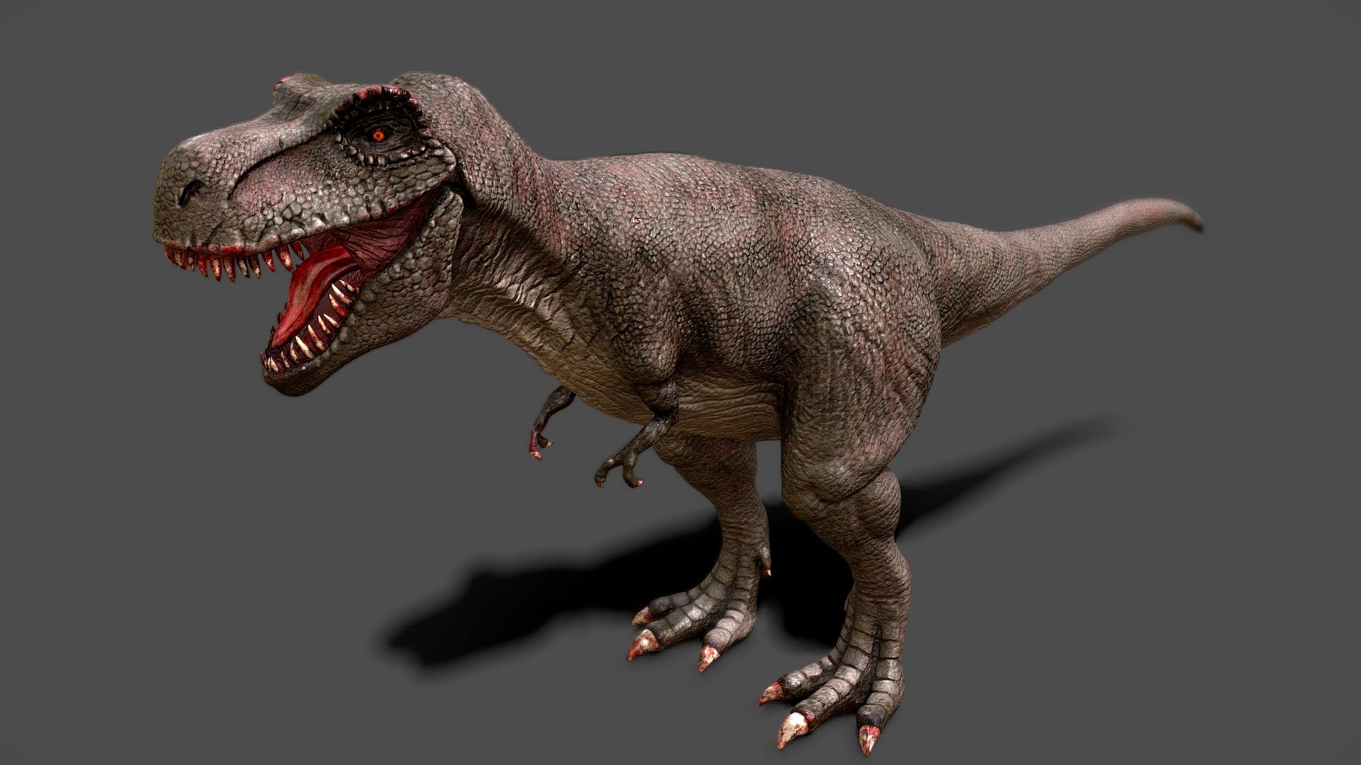 Rex 3D Model