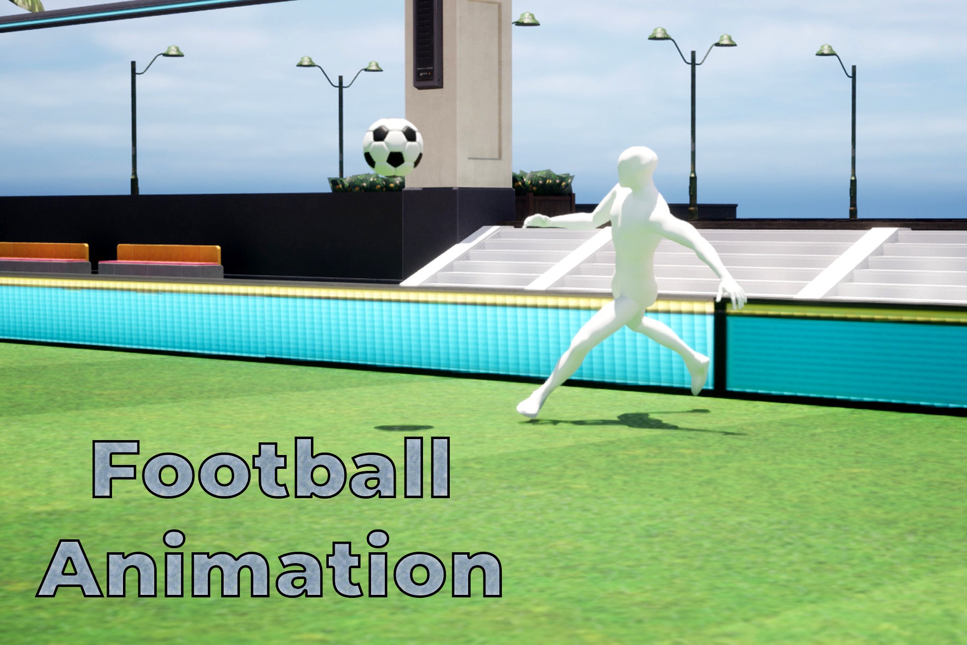 Football Animation 3d model