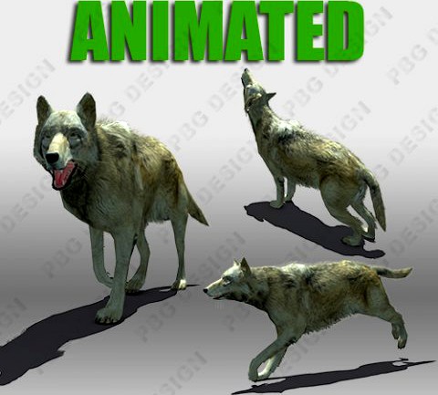 Timber Wolf Animated 3D Model