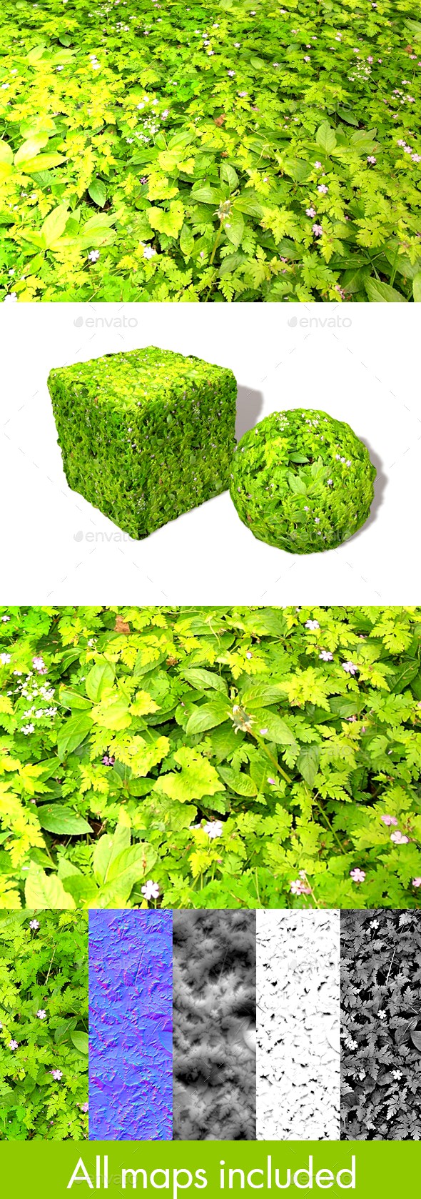 Ground Covering Plants Seamless Texture 3d model