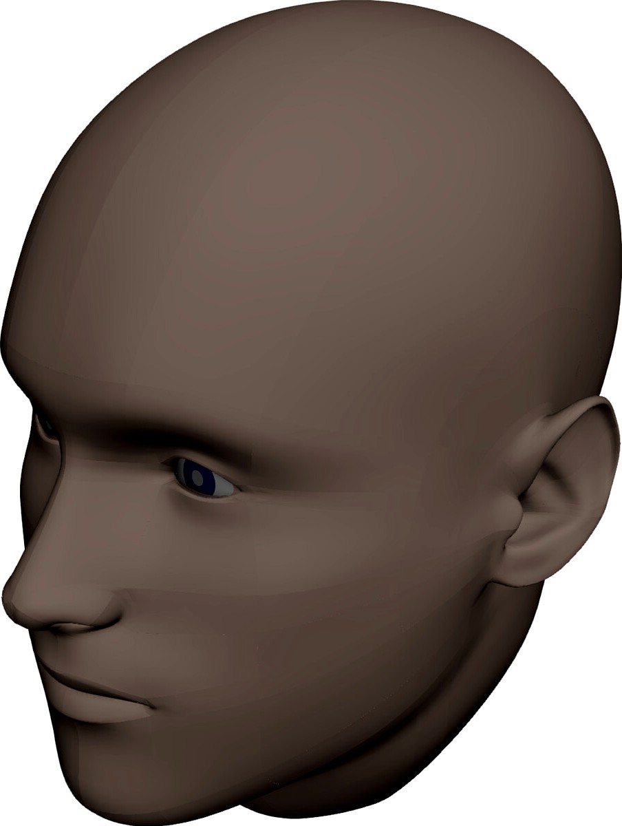 Human Head 3D CAD Model