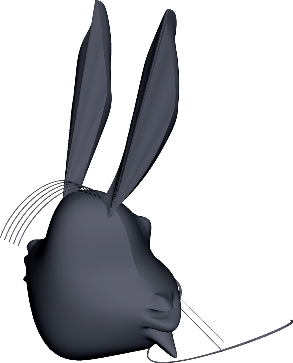 Rabbit 3D CAD Model