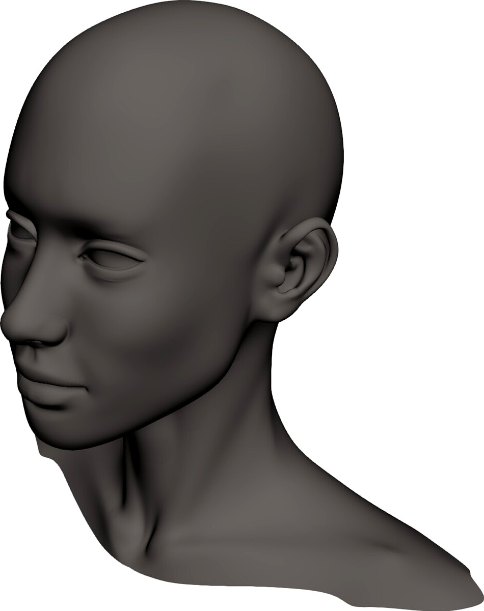 Head Female 3D CAD Model
