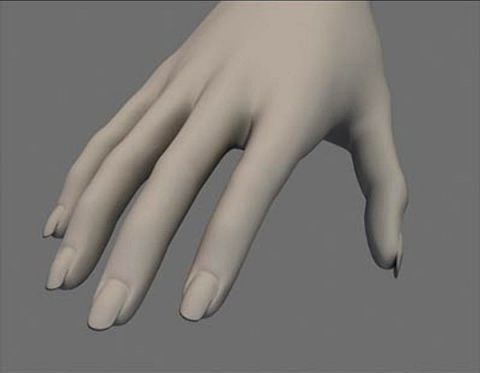 Women Hand 3D Model