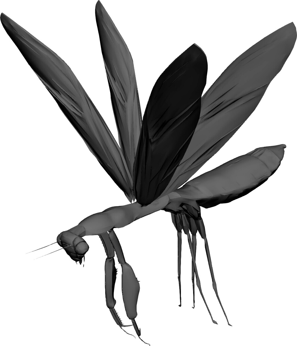 Flying Mantis 3d model