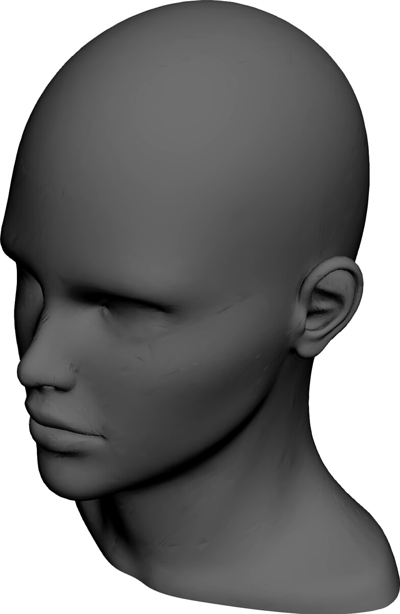 Human Head and Neck 3D CAD Model