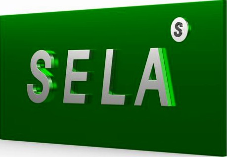 sela logo 3d model
