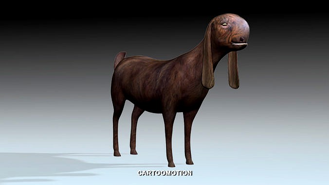 Syrian Goat Al SHAMI GOAT 3d model