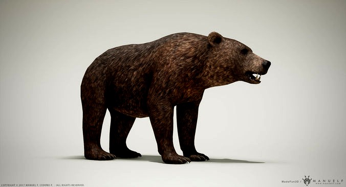 Brown Bear game ready PBR 3d model