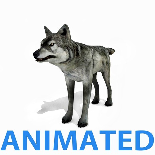 Wolf - Animated 3d model