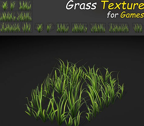 Wild Grass Texture 3d model