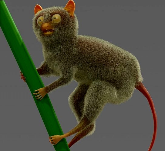 Philippine tarsier 3d model