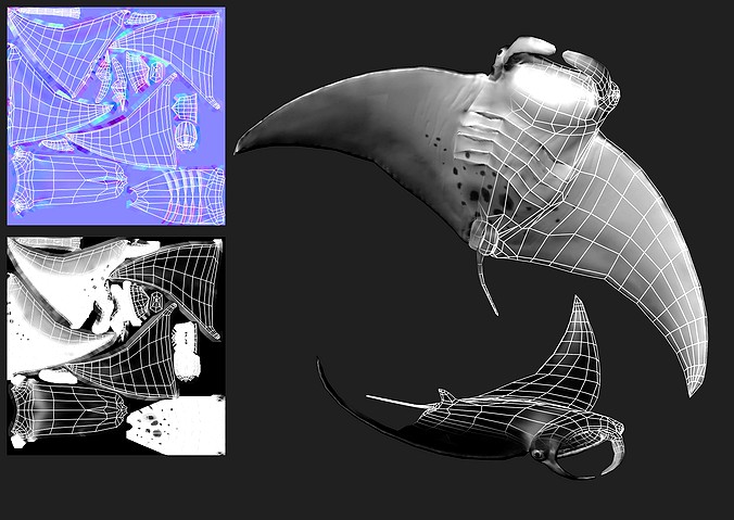 Manta Ray Low Poly Game Ready LOD 3d model